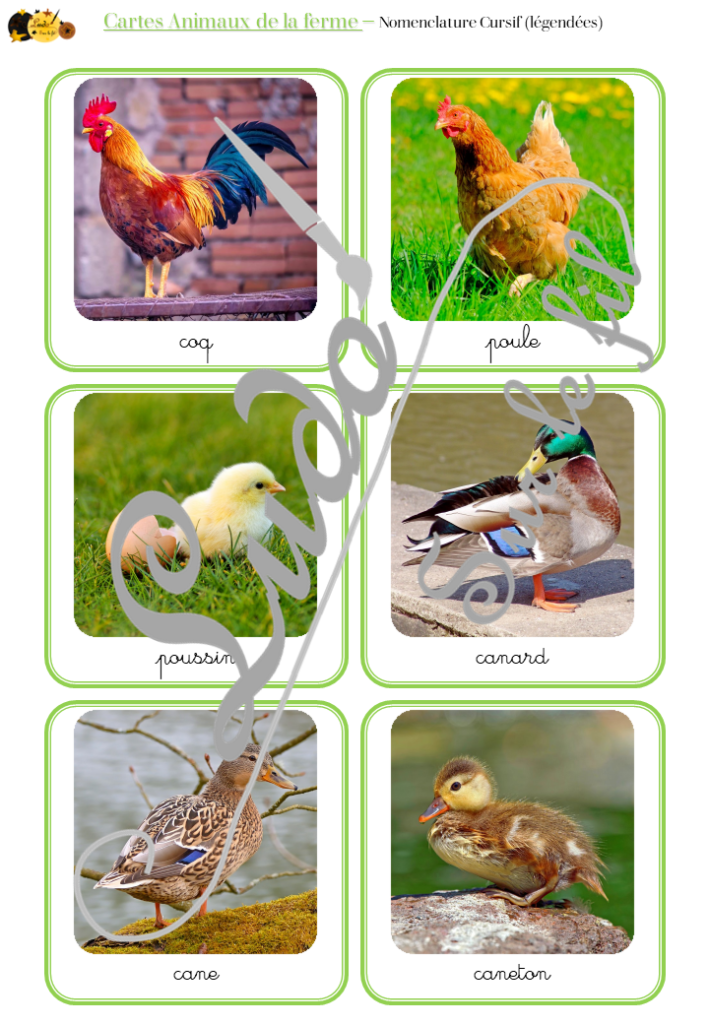 Cartes Animaux de la ferme - Photos avec fond - Ludo Sur Le Fil