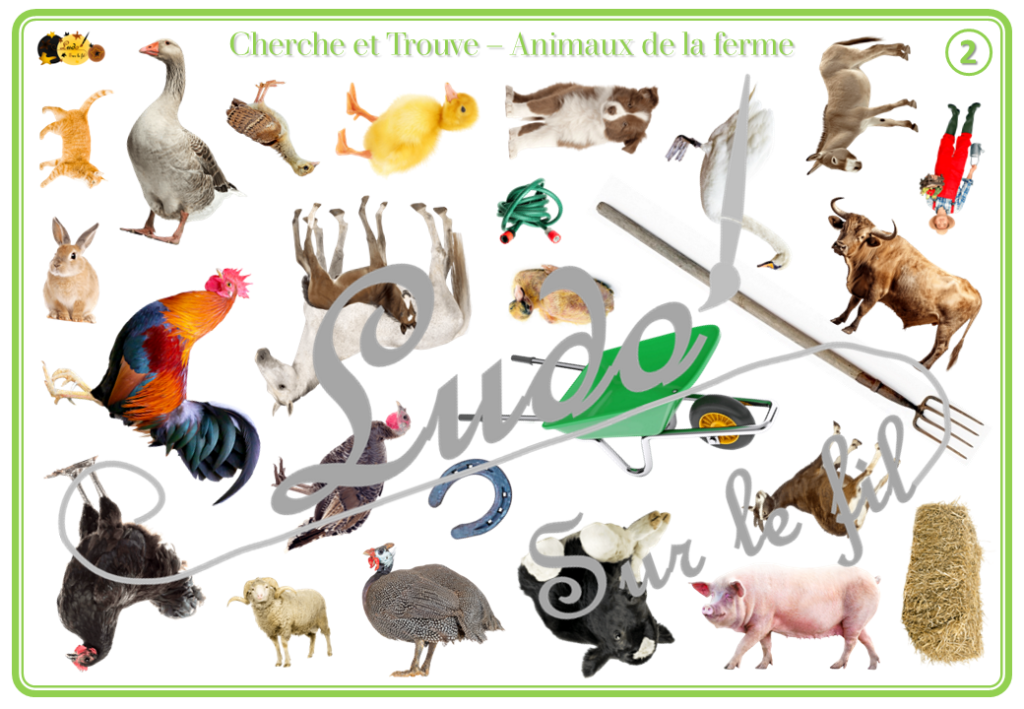 Cherche et Trouve - Animaux de la ferme - Ludo Sur Le Fil