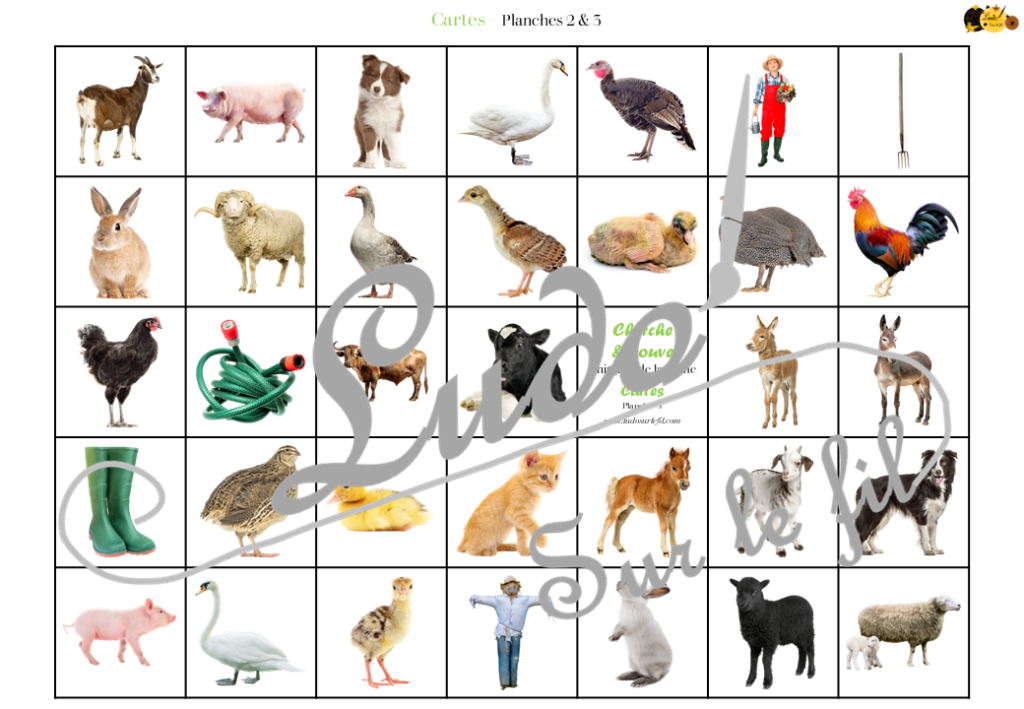 Cherche et Trouve - Animaux de la ferme - Ludo Sur Le Fil