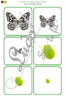 Classement et Rangement par taille - Insectes - Ludo Sur Le Fil