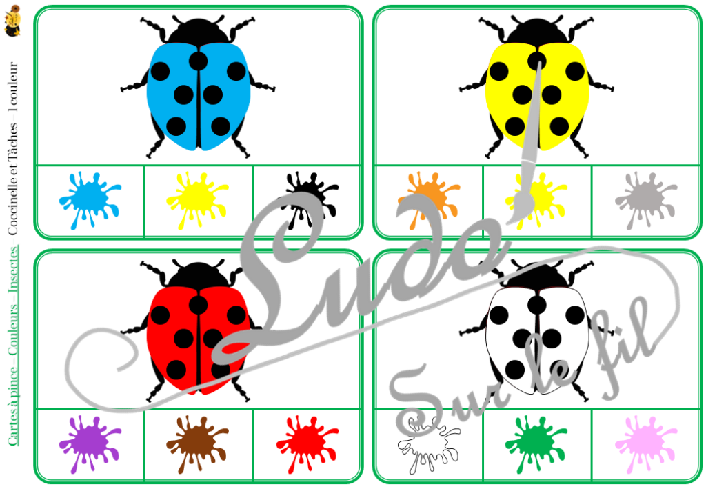 Cartes à pince - Couleurs & Insectes - Ludo Sur Le Fil