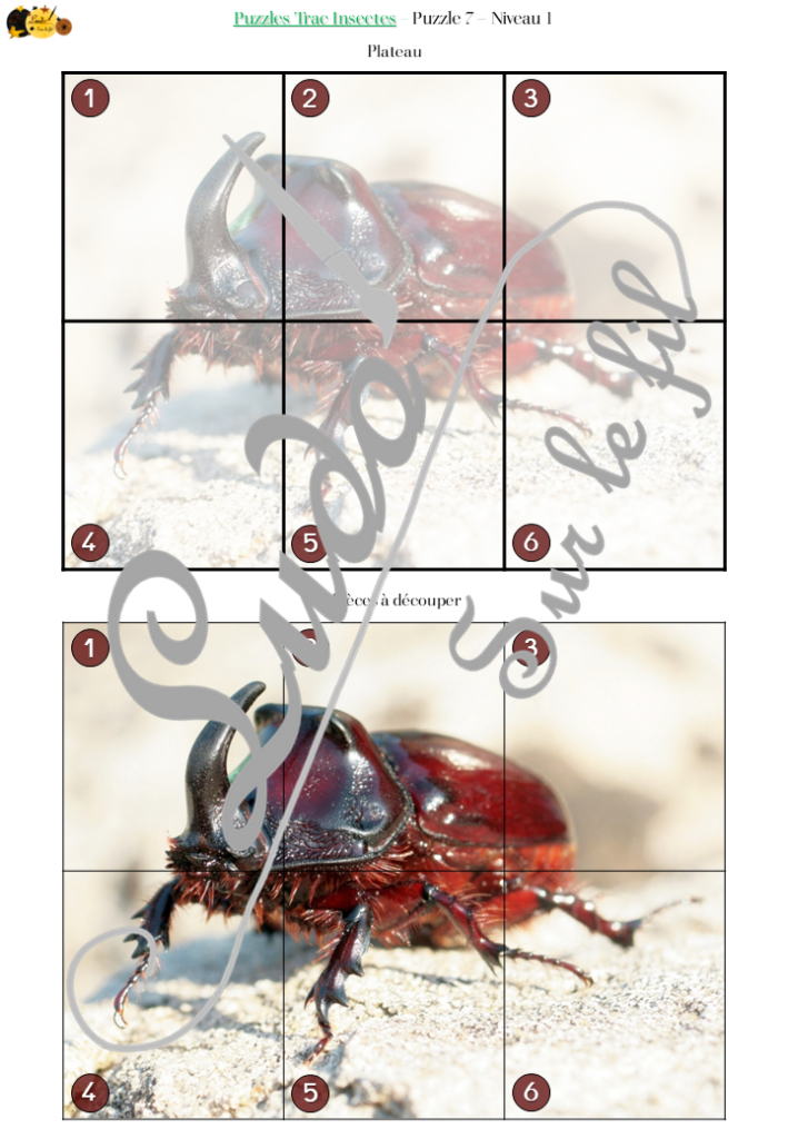 Puzzles Trac - Insectes & Petites Bêtes - Ludo Sur Le Fil