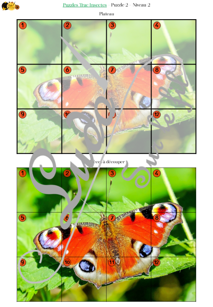 Puzzles Trac - Insectes & Petites Bêtes - Ludo Sur Le Fil