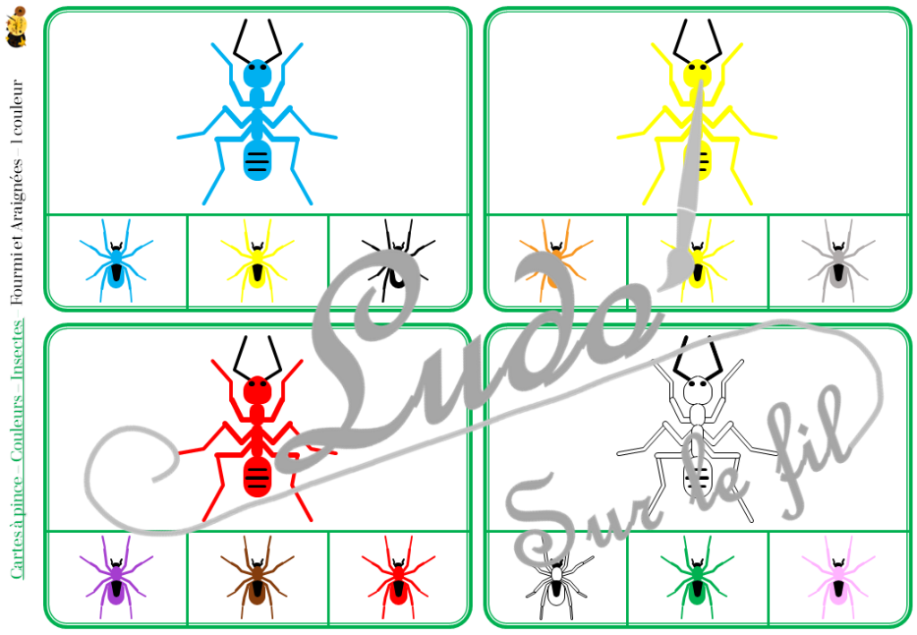 Cartes à pince - Couleurs & Insectes - Ludo Sur Le Fil