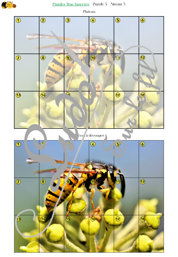 Puzzles Trac - Insectes & Petites Bêtes - Ludo Sur Le Fil