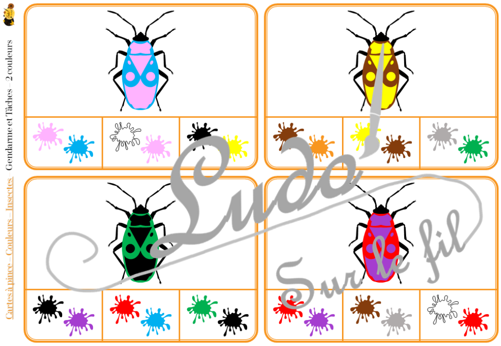 Cartes à pince - Couleurs & Insectes - Ludo Sur Le Fil