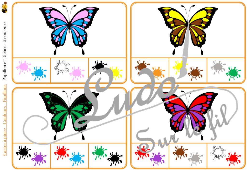 Cartes à pince - Couleurs & Papillons - Ludo Sur Le Fil