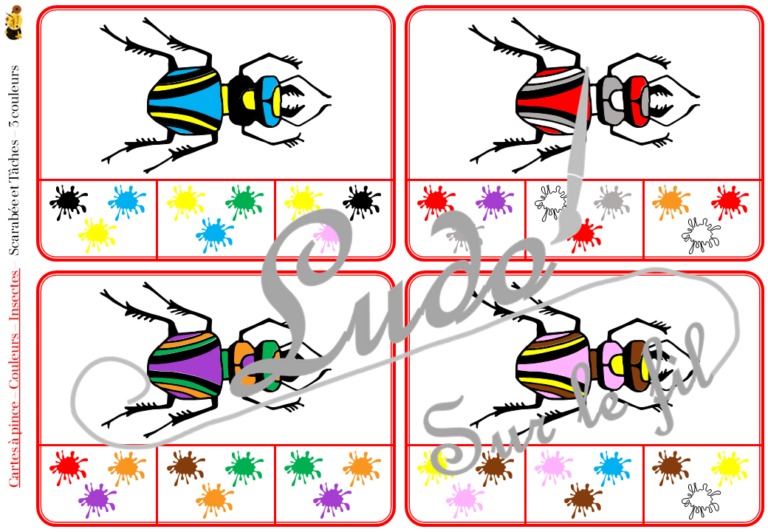 Cartes à pince - Couleurs & Insectes - Ludo Sur Le Fil