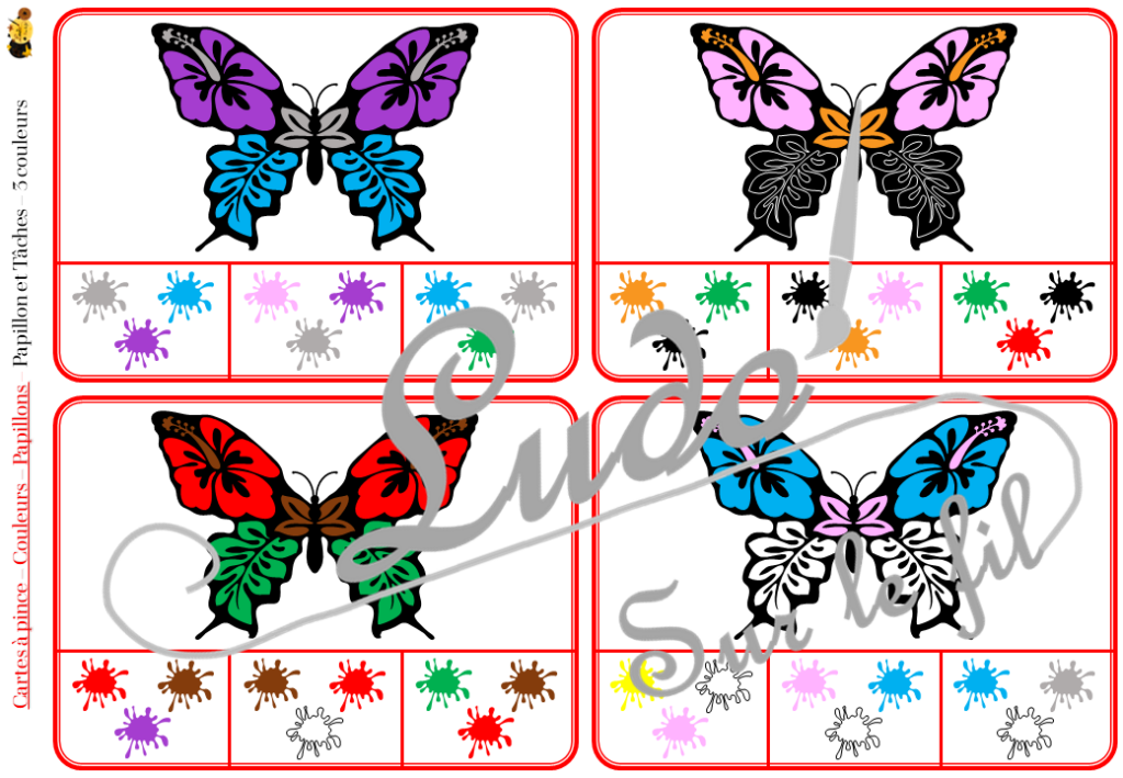 Cartes à pince - Couleurs & Papillons - Ludo Sur Le Fil