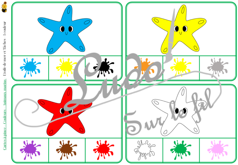 Cartes à pince - Couleurs & Animaux marins - Ludo Sur Le Fil