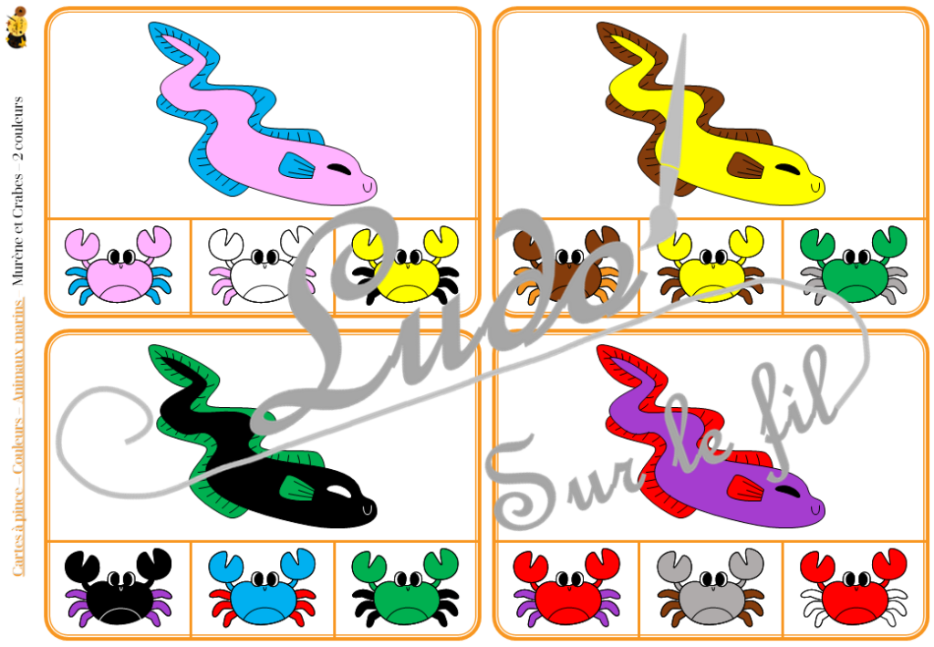 Cartes à pince - Couleurs & Animaux marins - Ludo Sur Le Fil