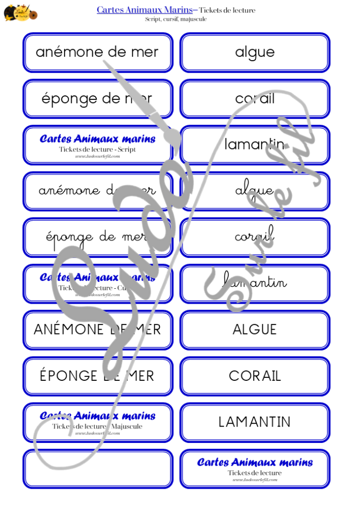 Cartes Animaux Marins - Photos avec fond - Ludo Sur Le Fil