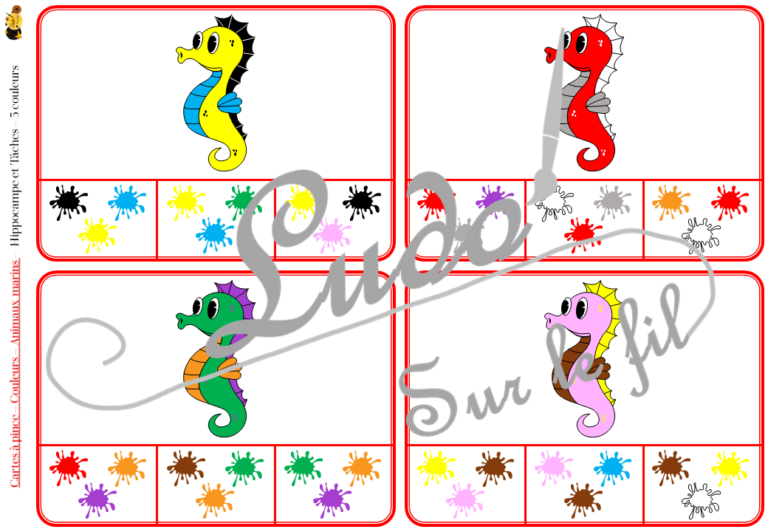 Cartes à pince - Couleurs & Animaux marins - Ludo Sur Le Fil