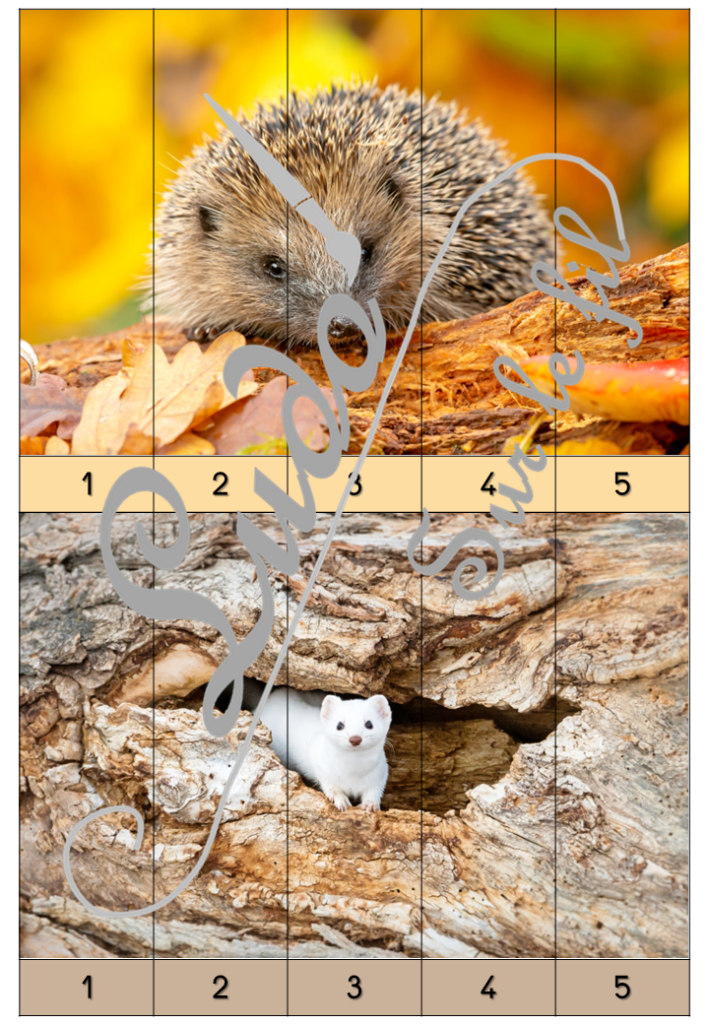 Puzzles Numériques - Animaux de la forêt et des campagnes - Ludo Sur Le Fil