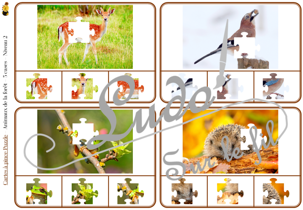 Cartes à pince - Puzzles - Animaux de la forêt - Ludo Sur Le Fil