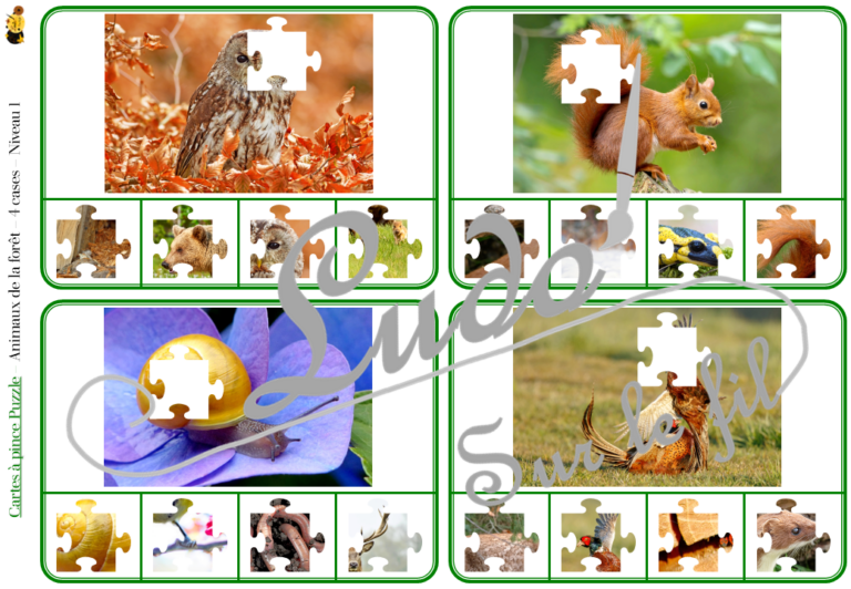 Cartes à pince - Puzzles - Animaux de la forêt - Ludo Sur Le Fil