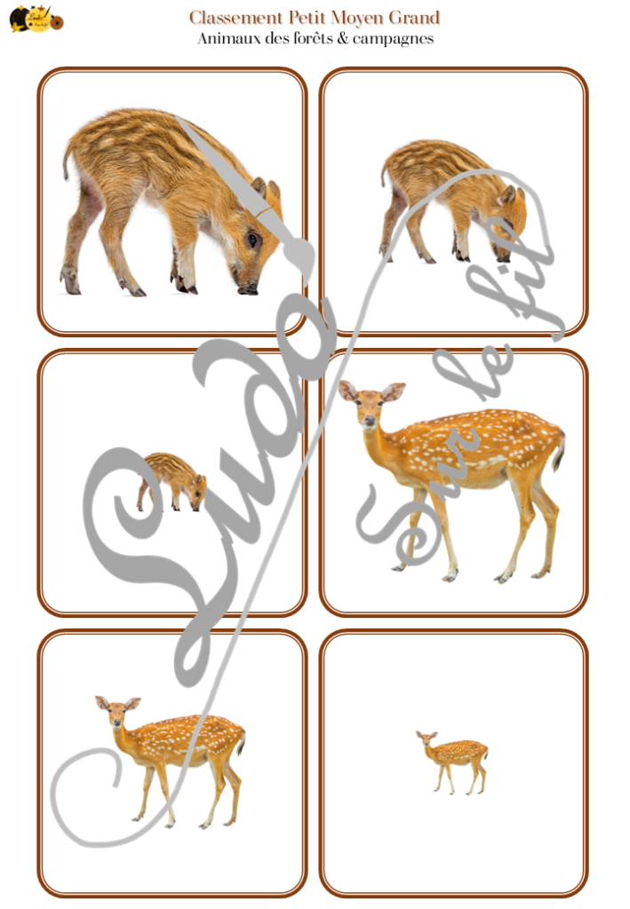 Classement et Rangement par taille - Animaux de la forêt - Ludo Sur Le Fil