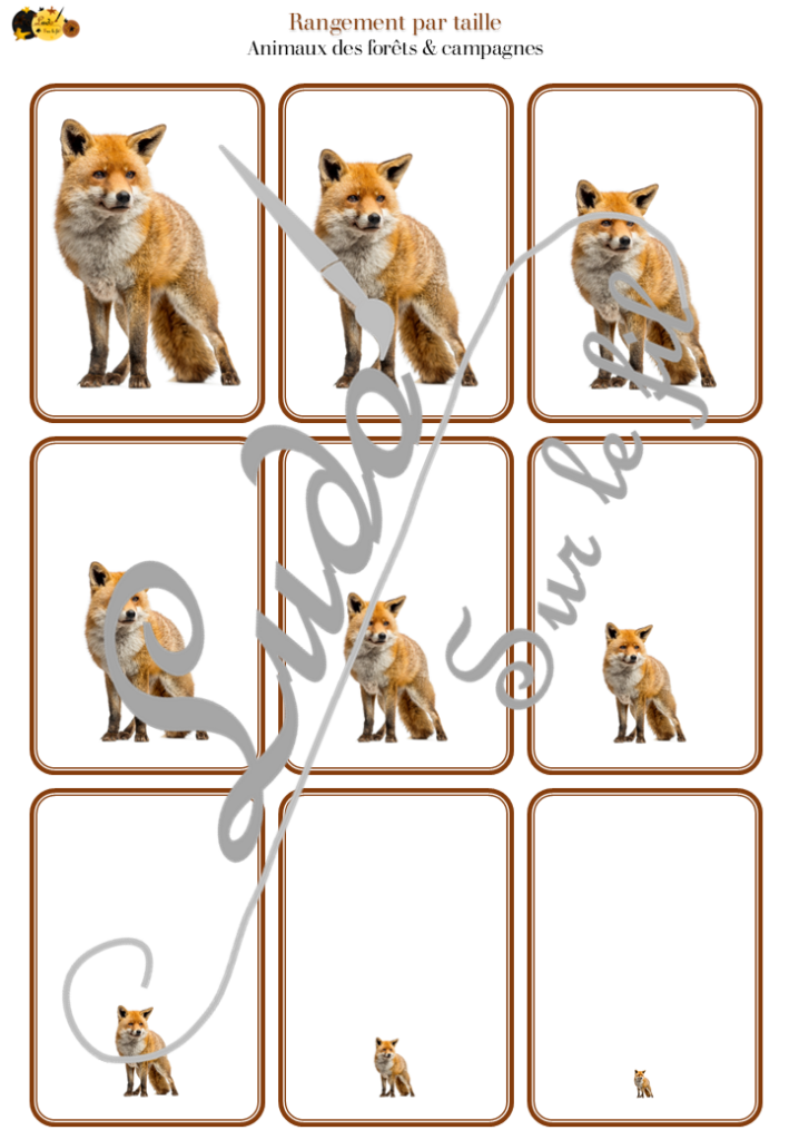 Classement et Rangement par taille - Animaux de la forêt - Ludo Sur Le Fil