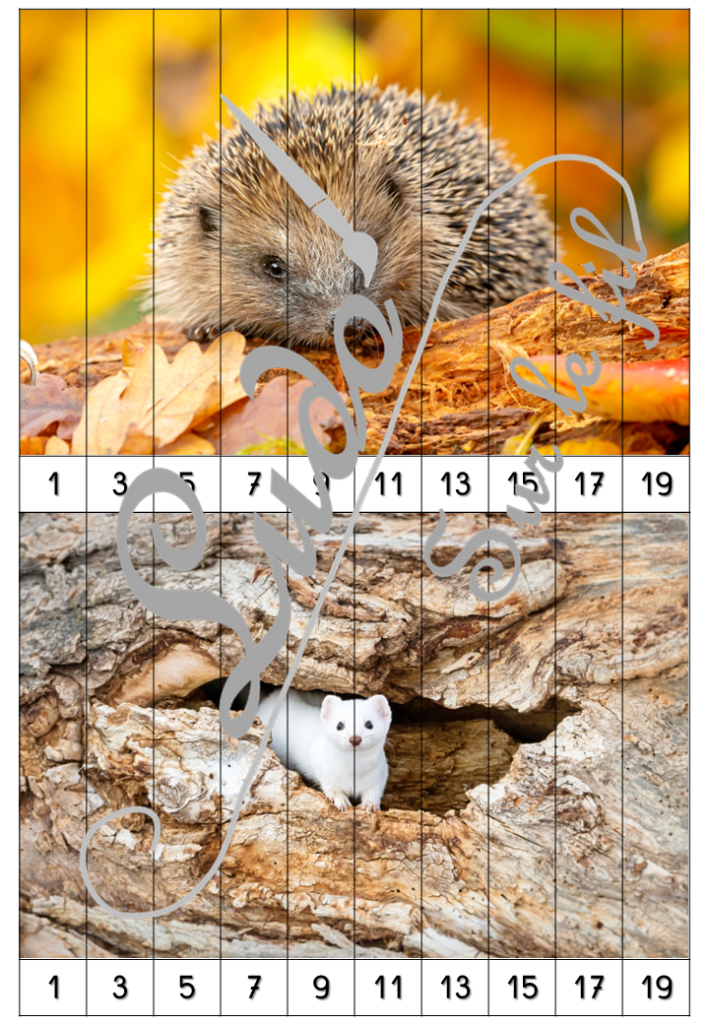 Puzzles Numériques - Animaux de la forêt et des campagnes - Ludo Sur Le Fil