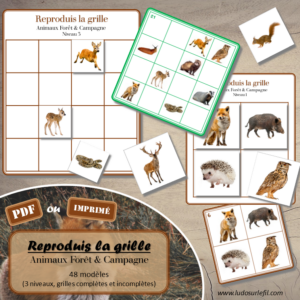Reproduis la grille - Animaux Forêt & Campagne - Ludo Sur Le Fil